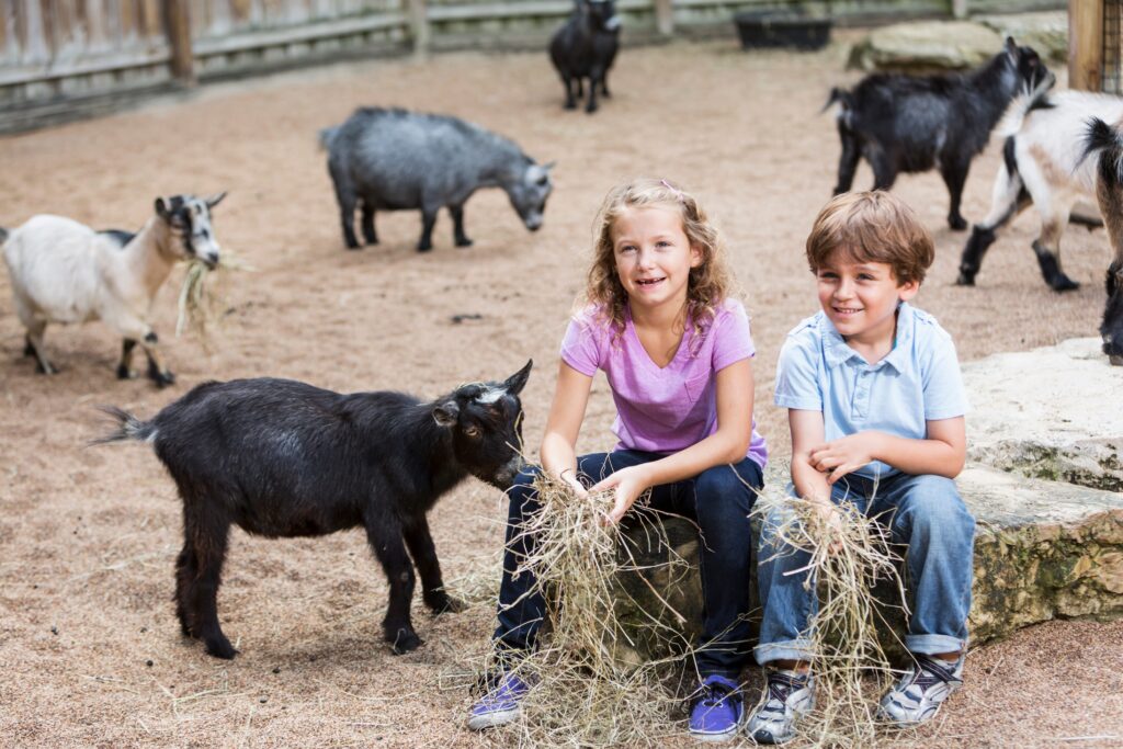 Tierwelt Herberstein in Stubenberg: Informationen | Tipps