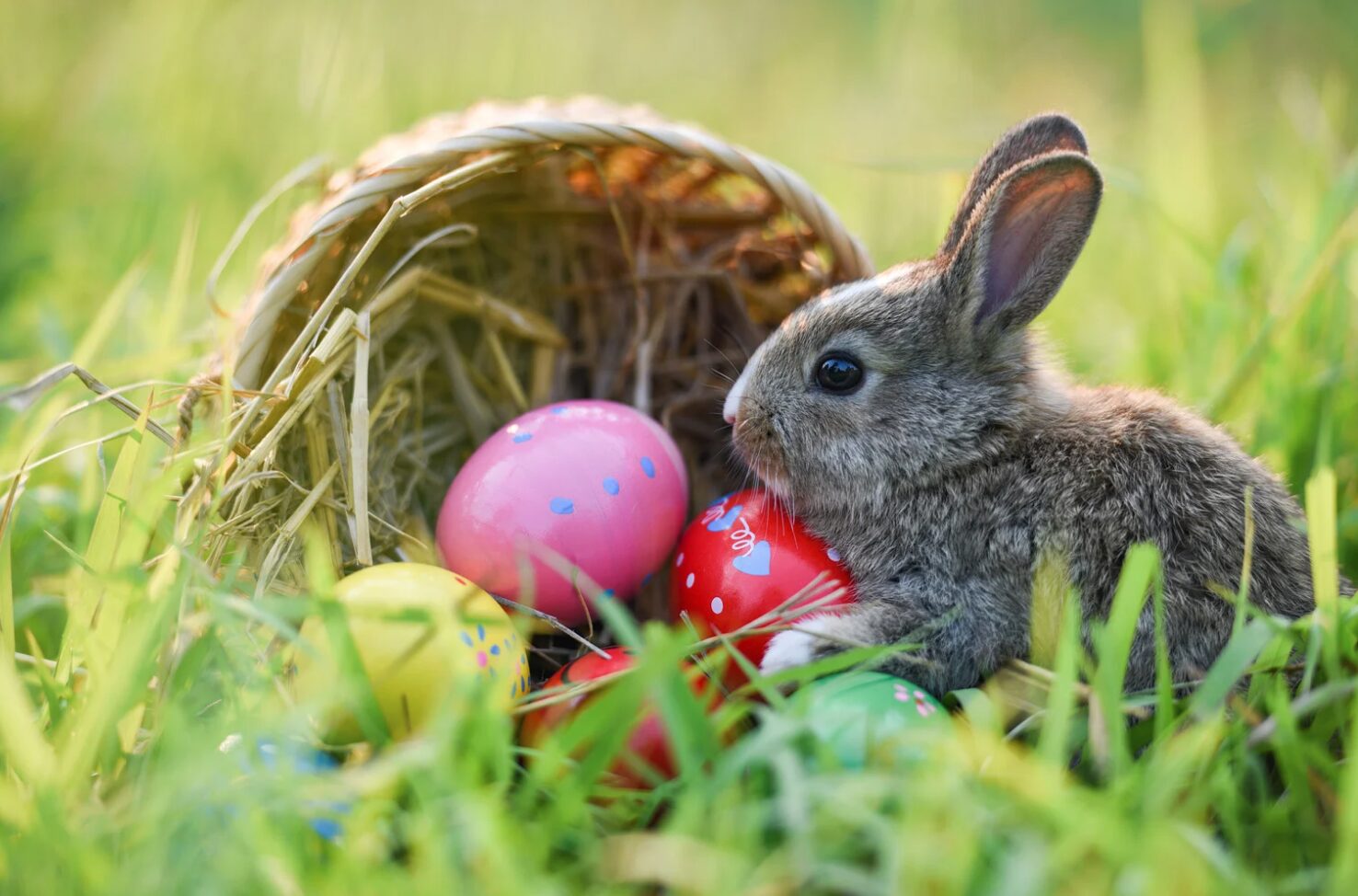 Ostern 2025: Gesetzliche Feiertage & Ostern 2025