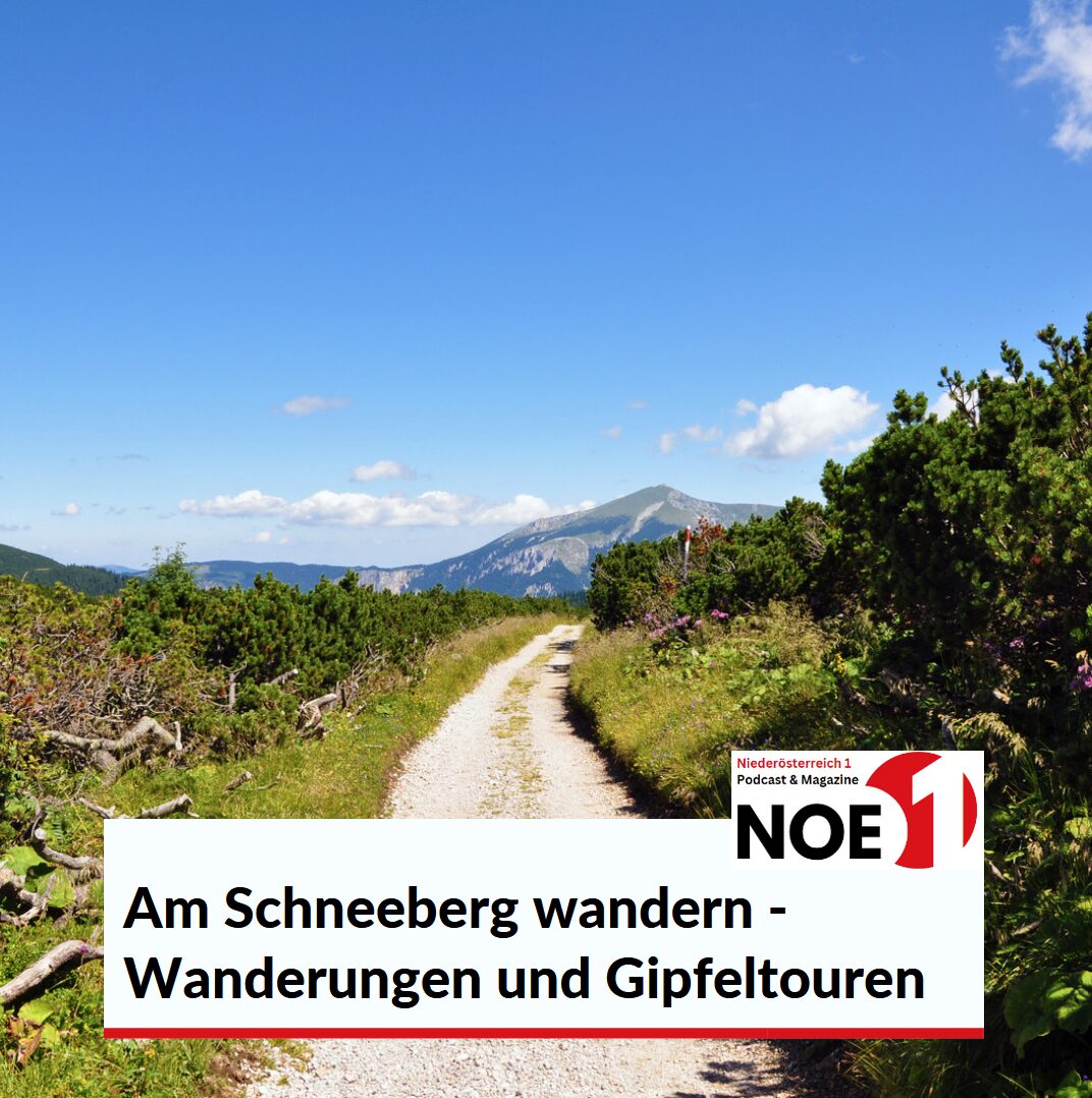 Schneeberg wandern: Touren in Puchberg & Umgebung