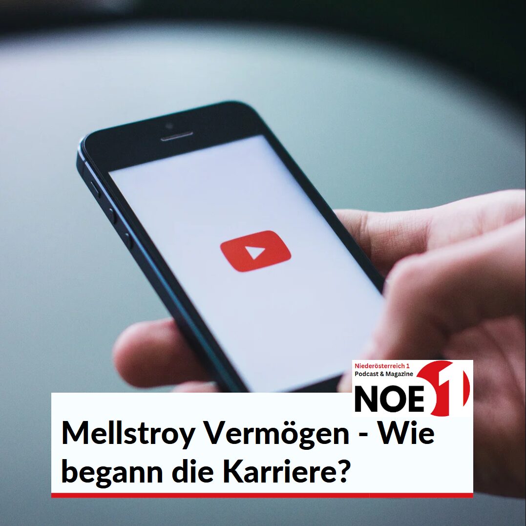 Mellstroy Vermögen - Casino & Aufstieg des Streamers